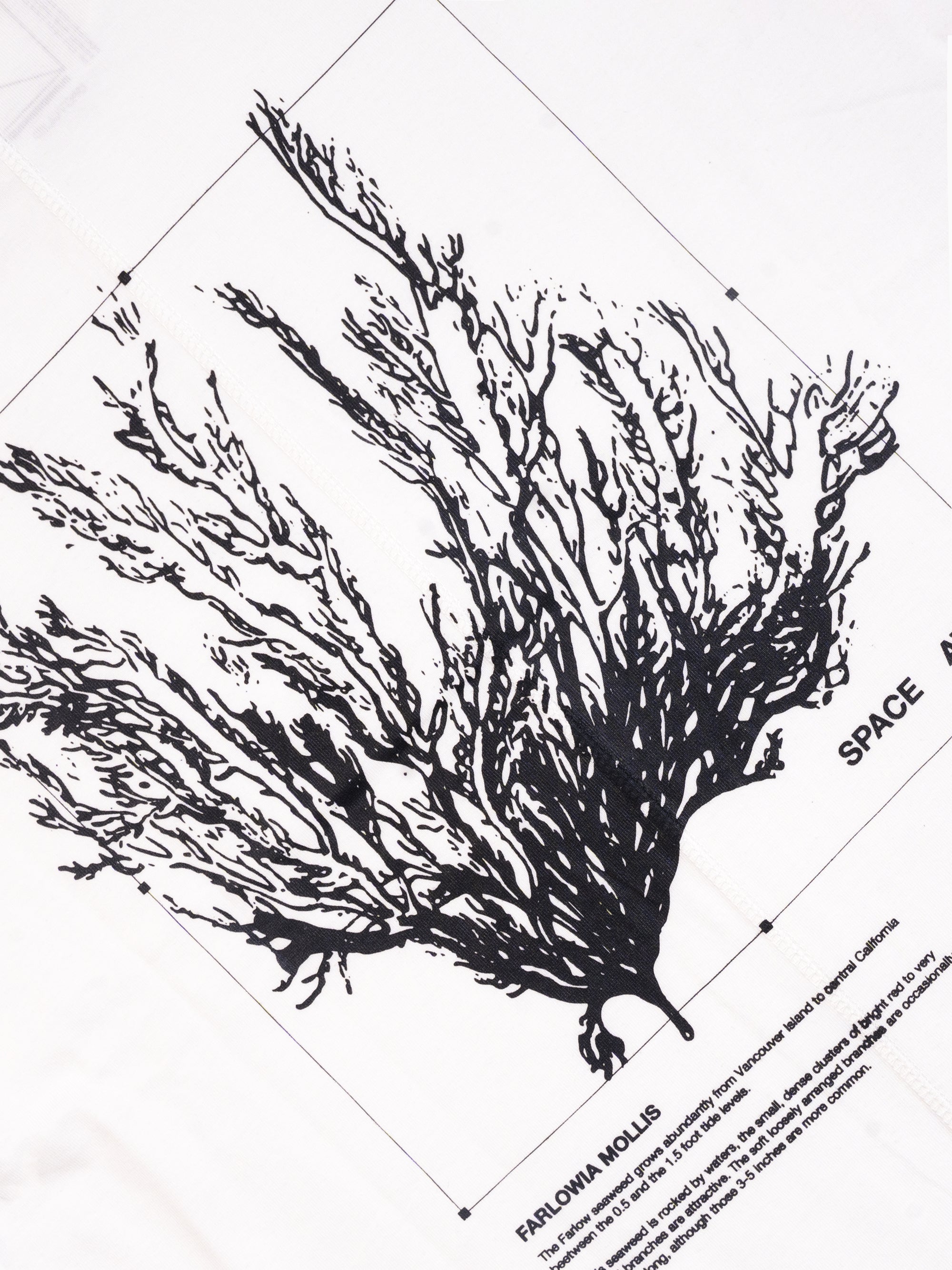 SPACE AVAILABLE: Men's Macroalgae Study Tee (White) | DSMS E-SHOP